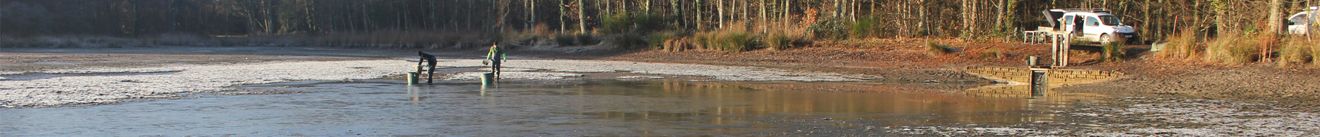 Life Croaa | The project team - Life Croaa