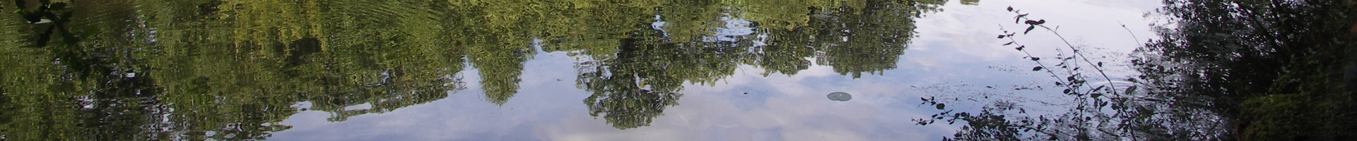 Life Croaa | Contacter le Life Croaa - Life Croaa