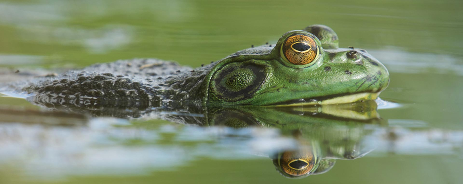 Life Croaa | Contact - Life Croaa