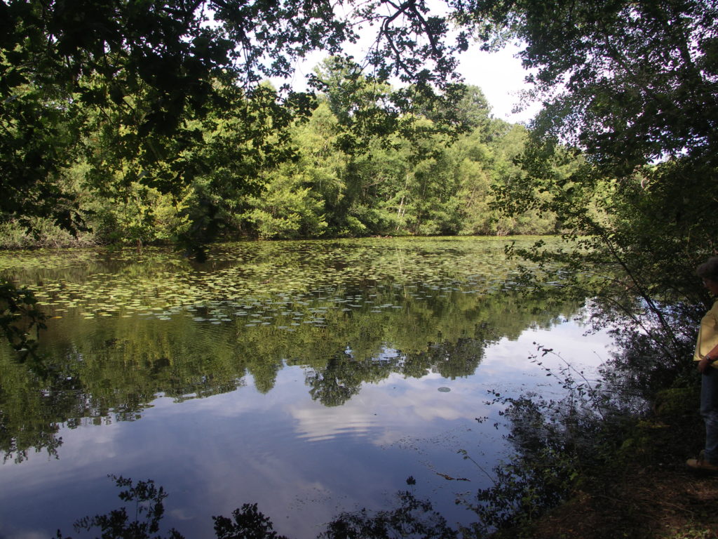 Life Croaa | Participez au LIFE CROAA : partagez vos observations d ...