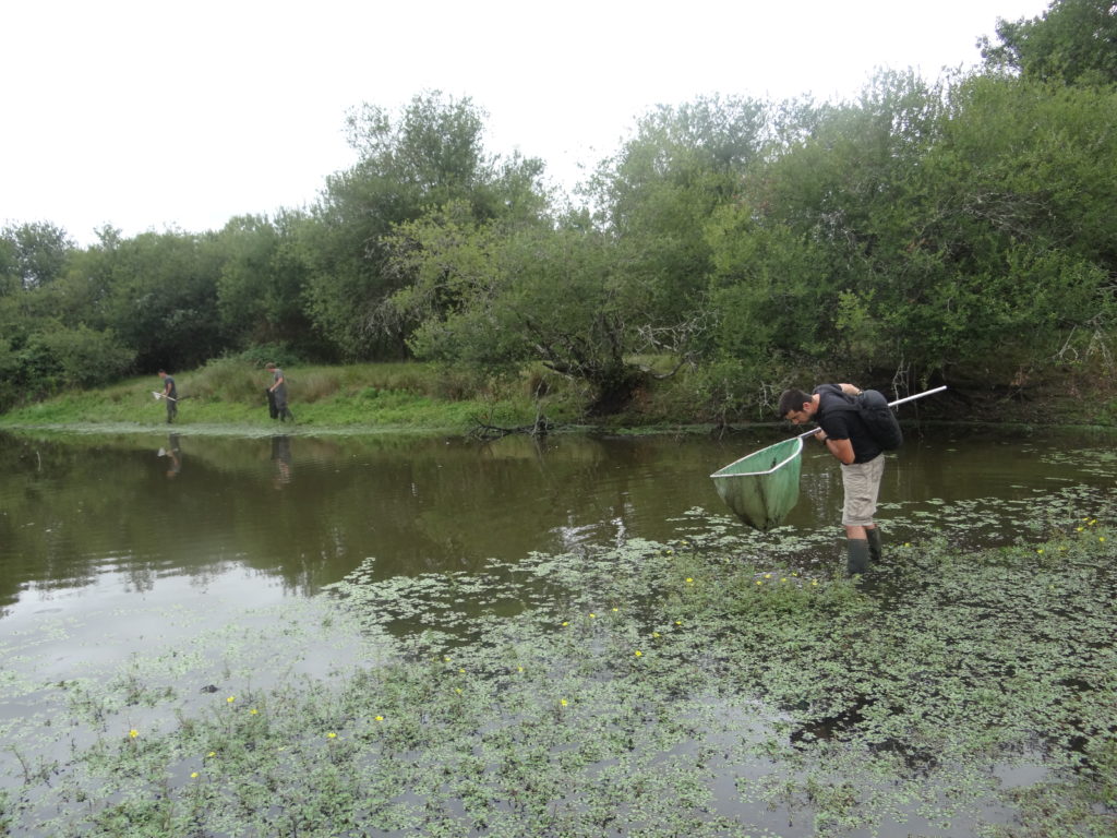 Life Croaa | Le LIFE CROAA recrute ! - Life Croaa