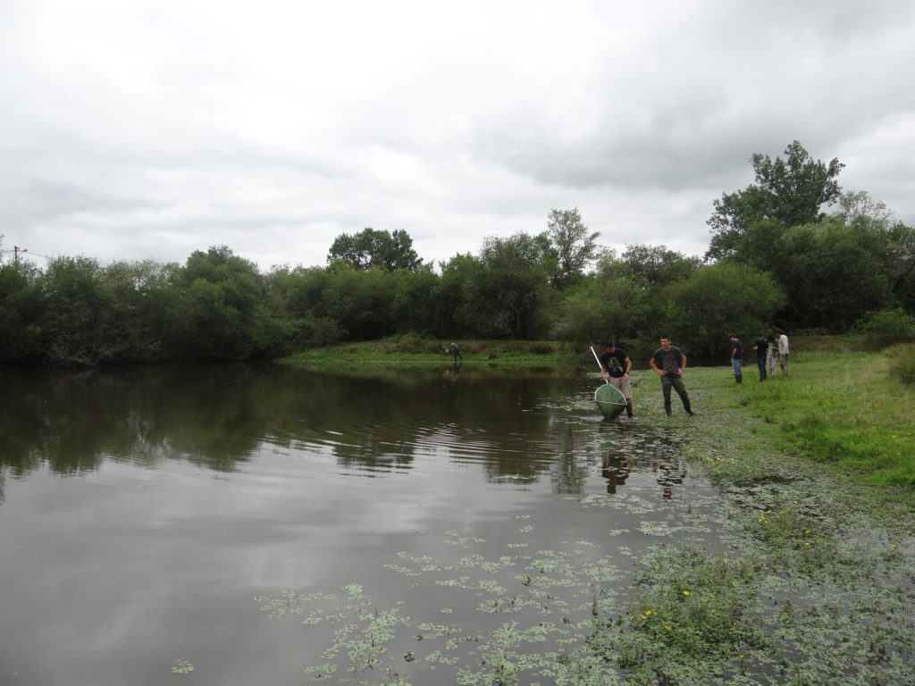 Life Croaa | Comment participer ? - Life Croaa